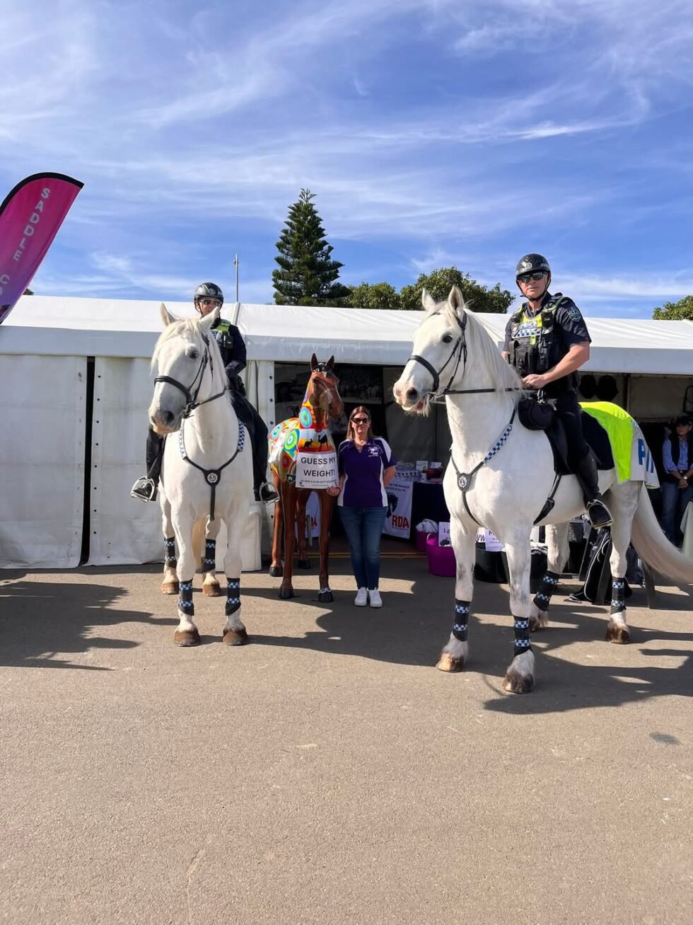 Riding For The Disabled – S.A. – RDA SA